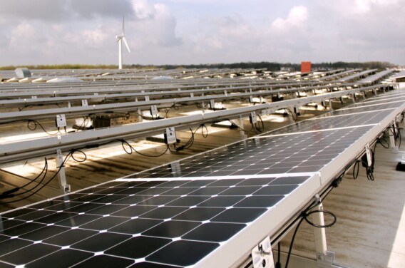 Interview: How OWC Became 'Ahead of Curve' with Renewable Energy
