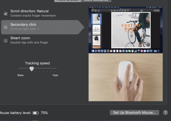 How to Change the Mouse and Trackpad Speed on a Mac
