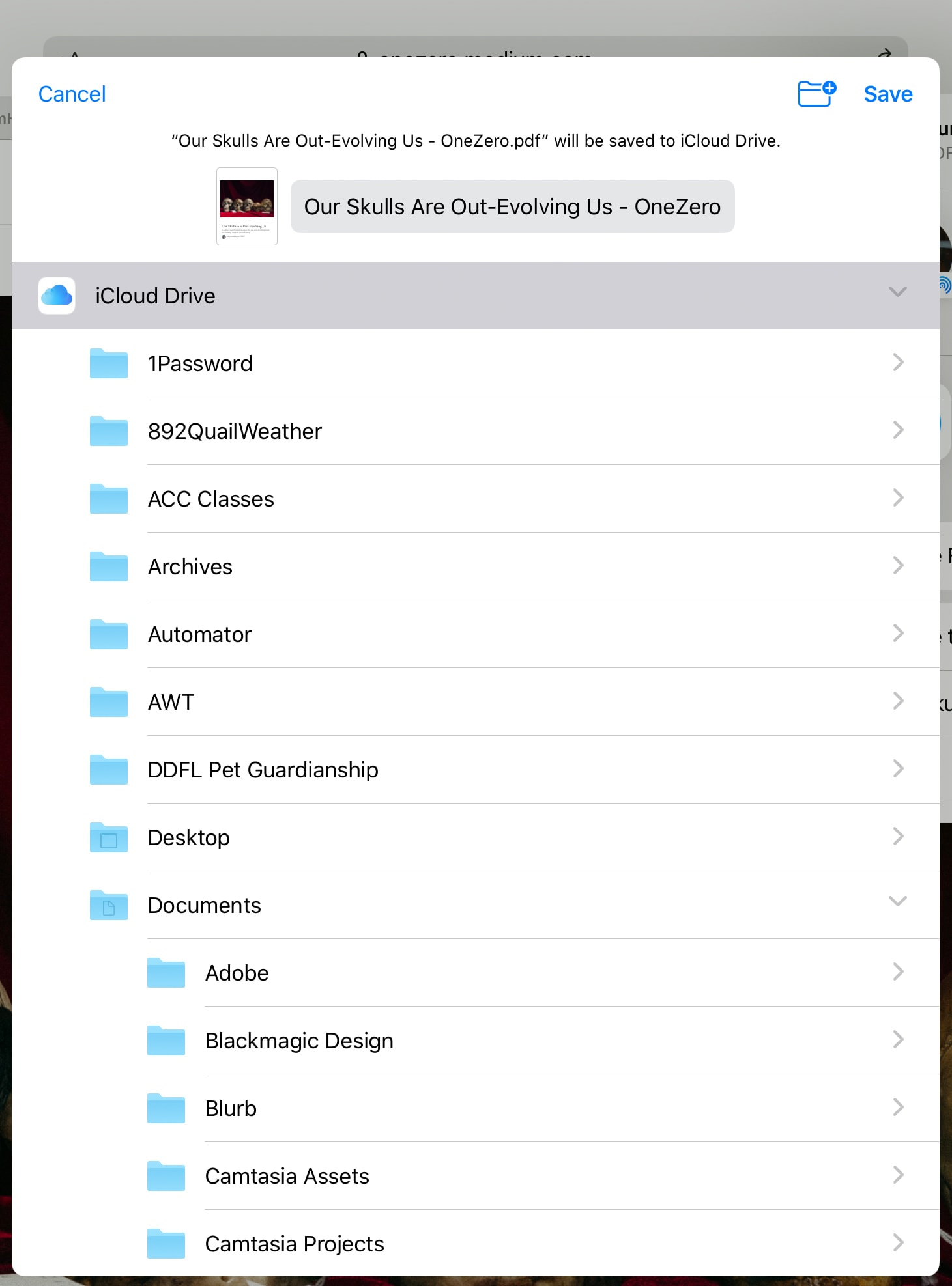 How to Save a PDF in Catalina, iOS 13 & iPadOS 13