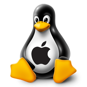 Reuse, Recycle: Set Up a Mac mini as a Linux Server