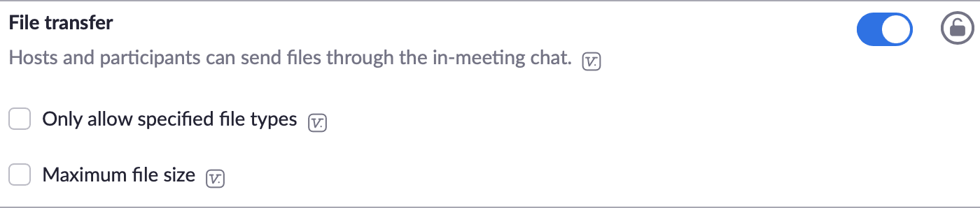 The Zoom Meeting Master Class: Better Picture, Better Sound & More!
