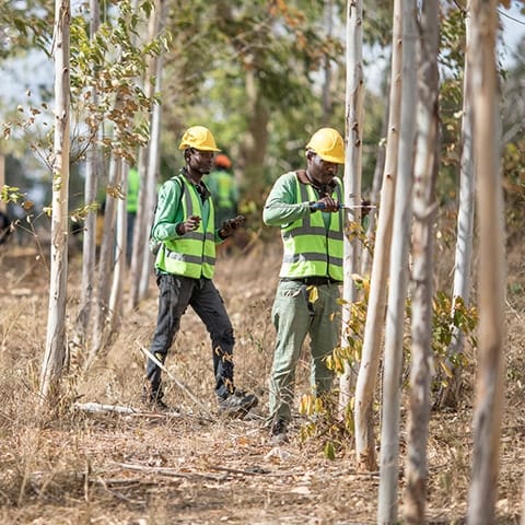 Apple News Roundup: April 2021