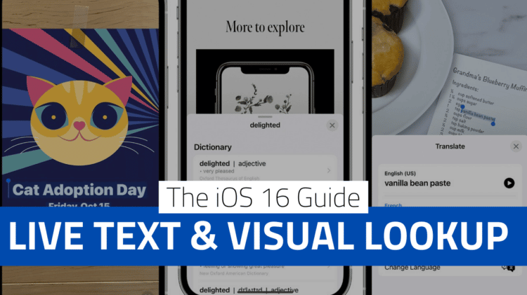 The iOS 16 Guide: Live Text and Visual Lookup