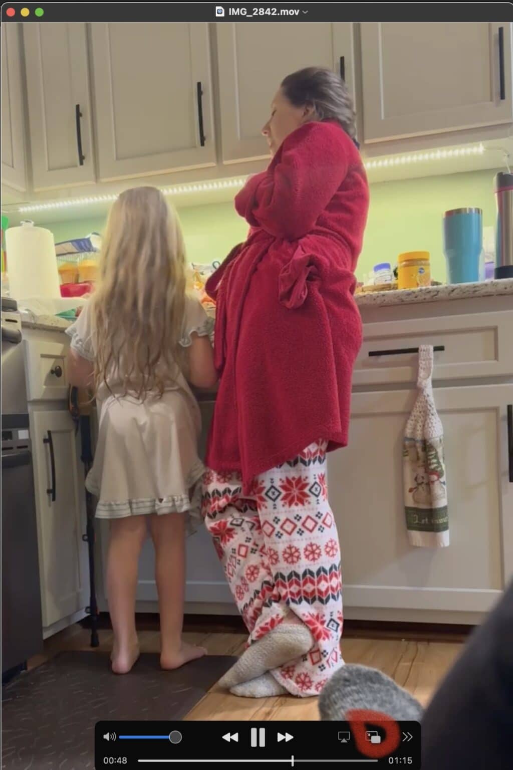 How to Use the Picture-in-Picture (PiP) Features of macOS Ventura