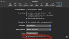 How to Find and Use The Hidden Develop Menu in Safari for Mac