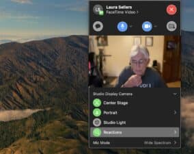 How to Use Gesture Reactions in Video Calls in macOS Sonoma