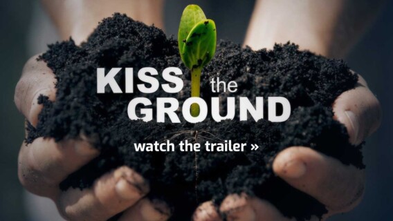 This Film Can Change the World — Kiss the Ground Now Streaming on ...