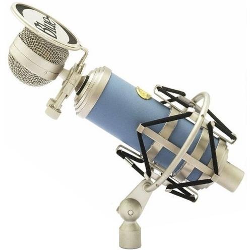 Blue Microphones Bluebird Condenser Microphone at MacSales.com